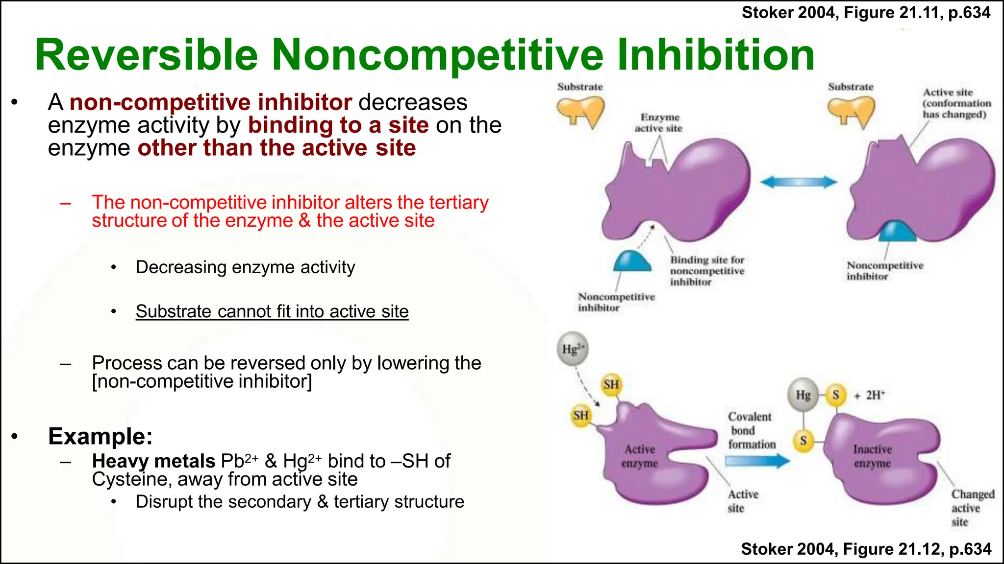 Biochemistry of Enzymes and Coenzymes.pptx