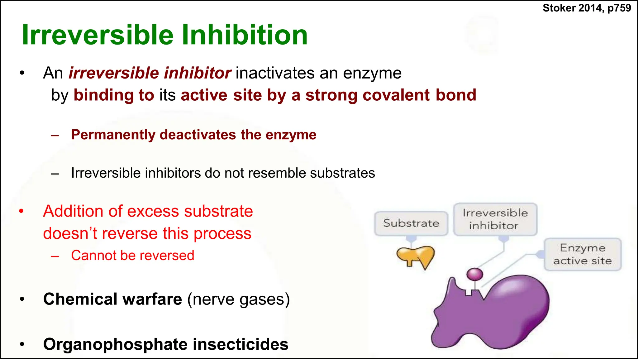 Biochemistry of Enzymes and Coenzymes.pptx