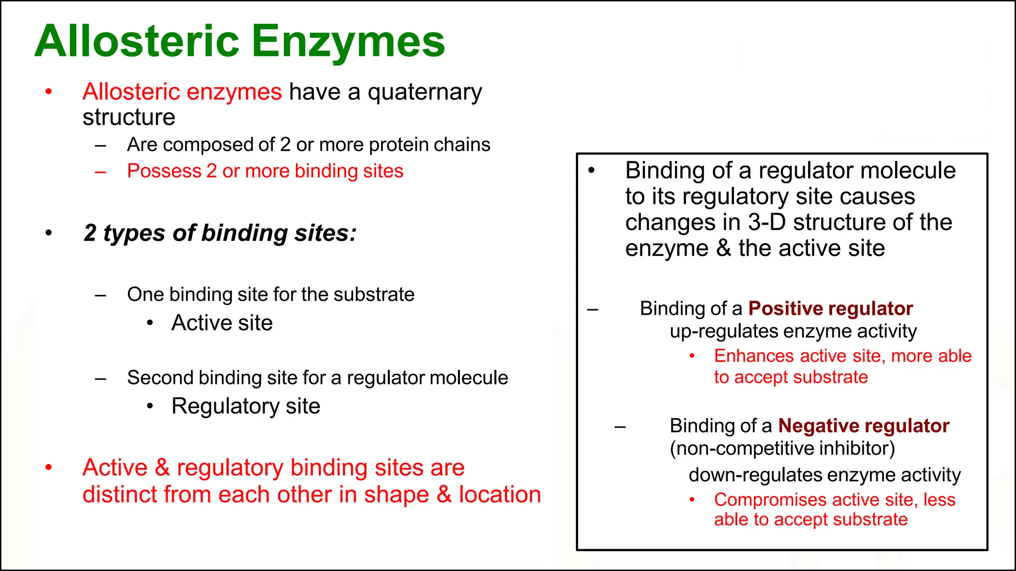 Biochemistry of Enzymes and Coenzymes.pptx