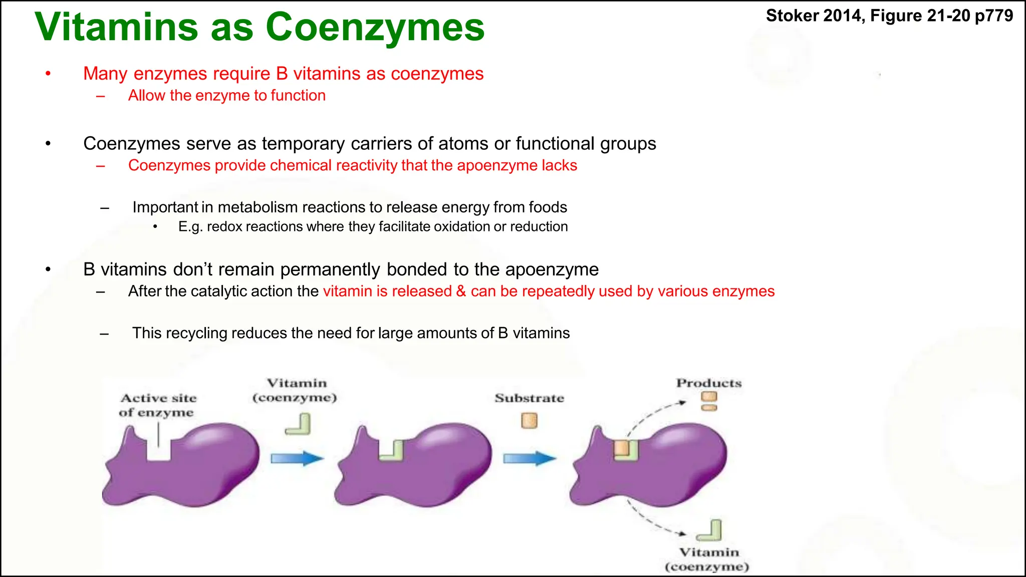 Biochemistry of Enzymes and Coenzymes.pptx