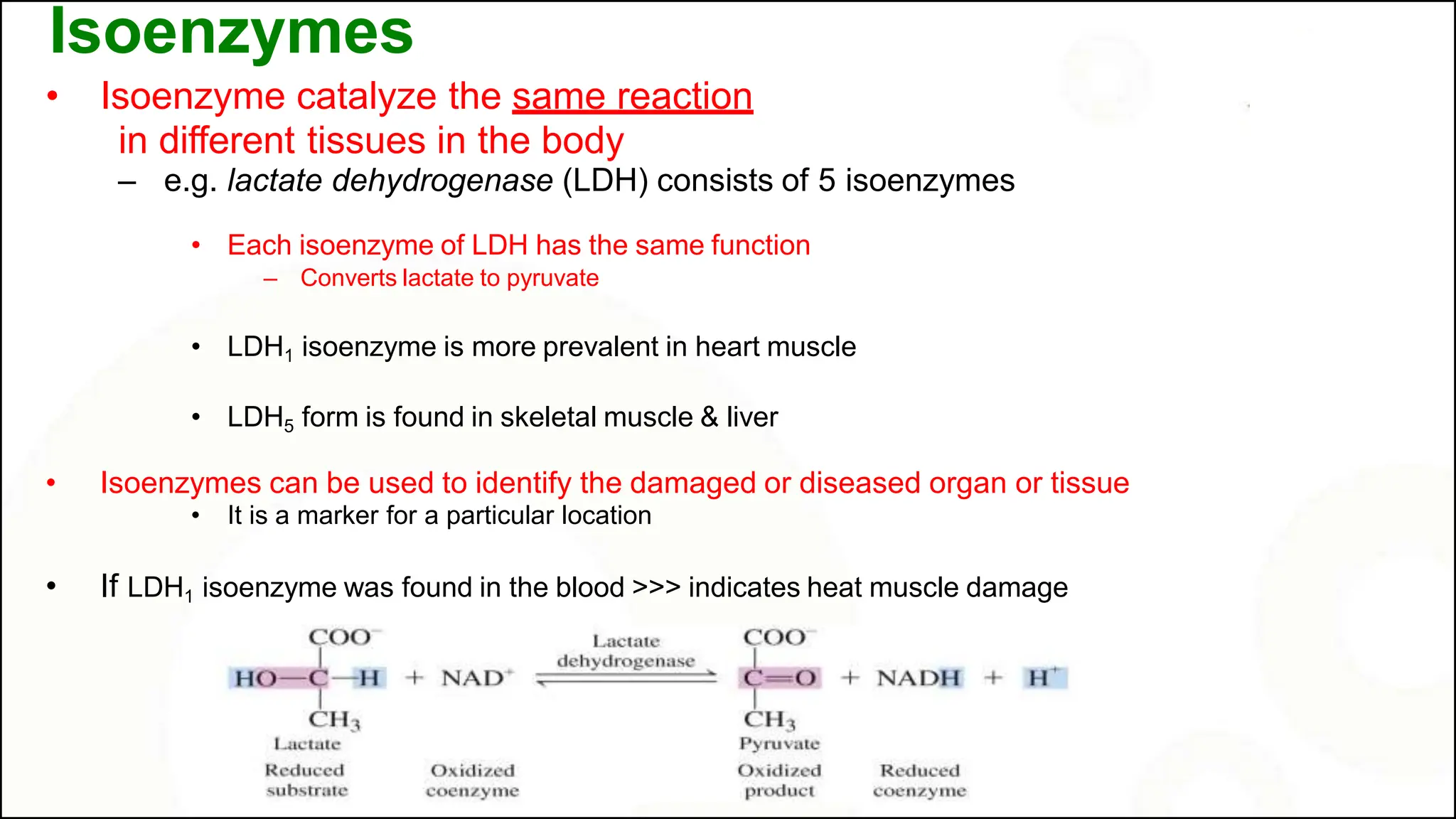 Biochemistry of Enzymes and Coenzymes.pptx
