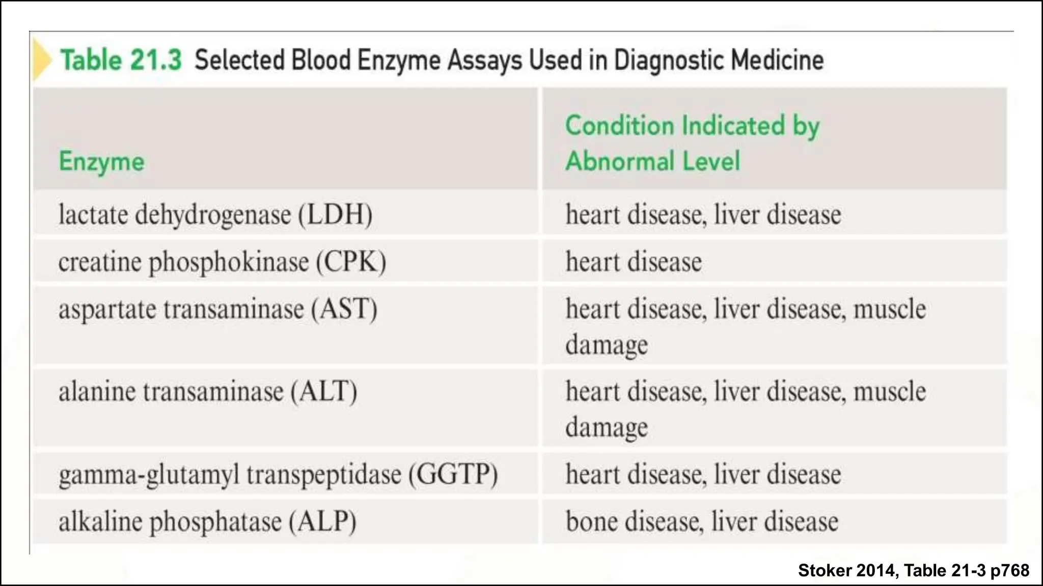 Biochemistry of Enzymes and Coenzymes.pptx