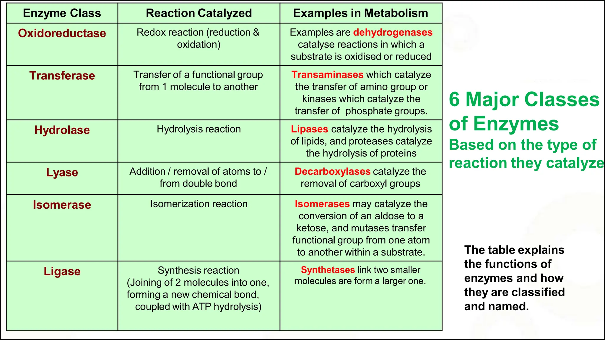 Biochemistry of Enzymes and Coenzymes.pptx