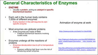 Biochemistry of Enzymes and Coenzymes.pptx