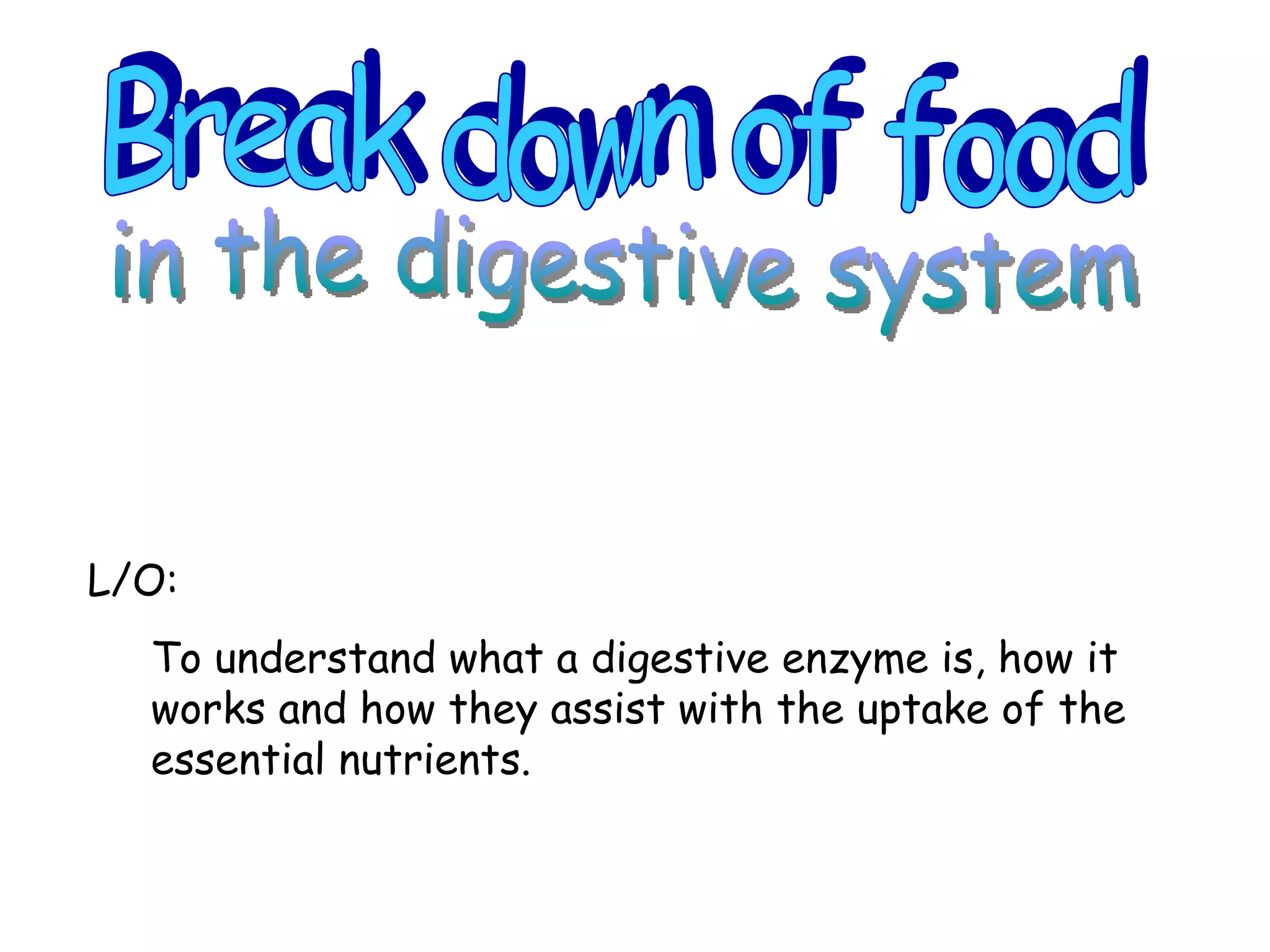 Enzymes and digestion2 | PPT