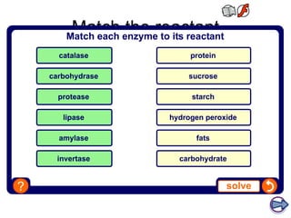 Enzymes and digestion2 | PPT