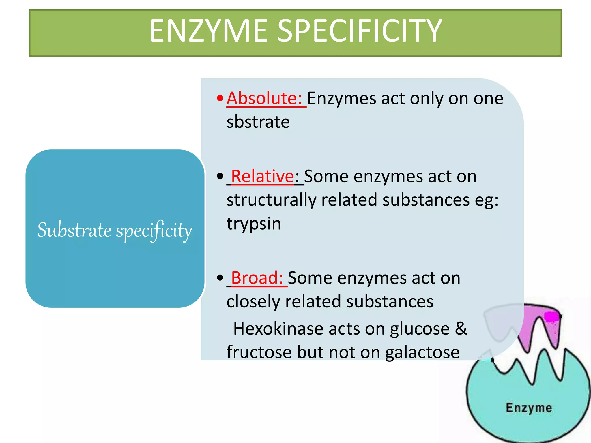 Enzymes and enzyme inhibition | PPTX