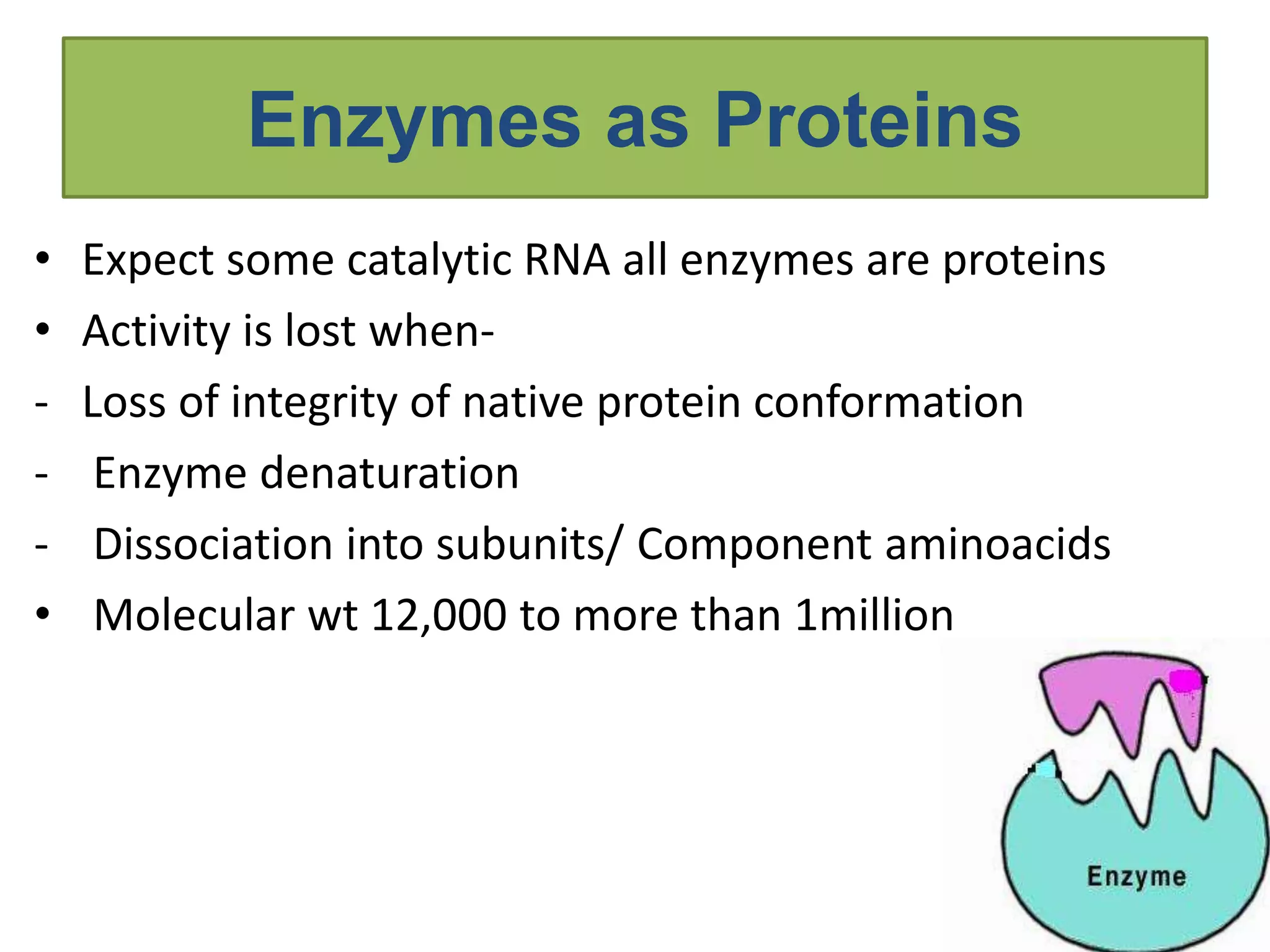 Enzymes and enzyme inhibition | PPTX