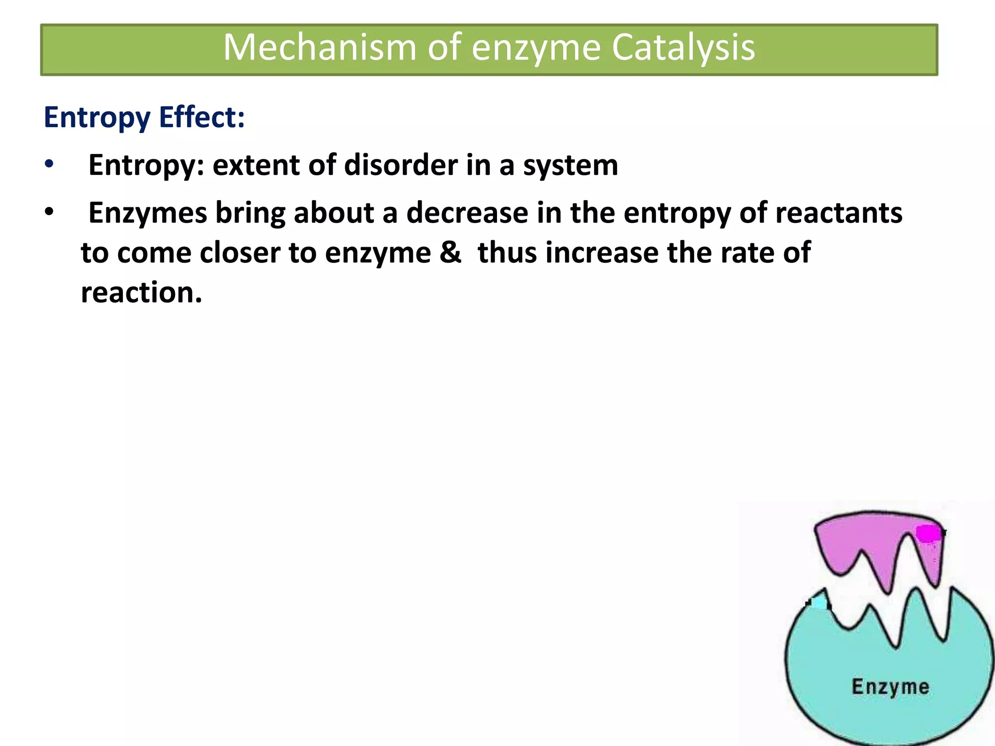 Enzymes and enzyme inhibition | PPTX