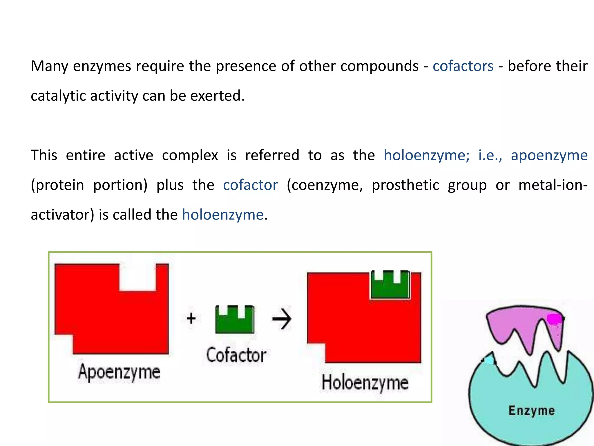 Enzymes and enzyme inhibition | PPTX