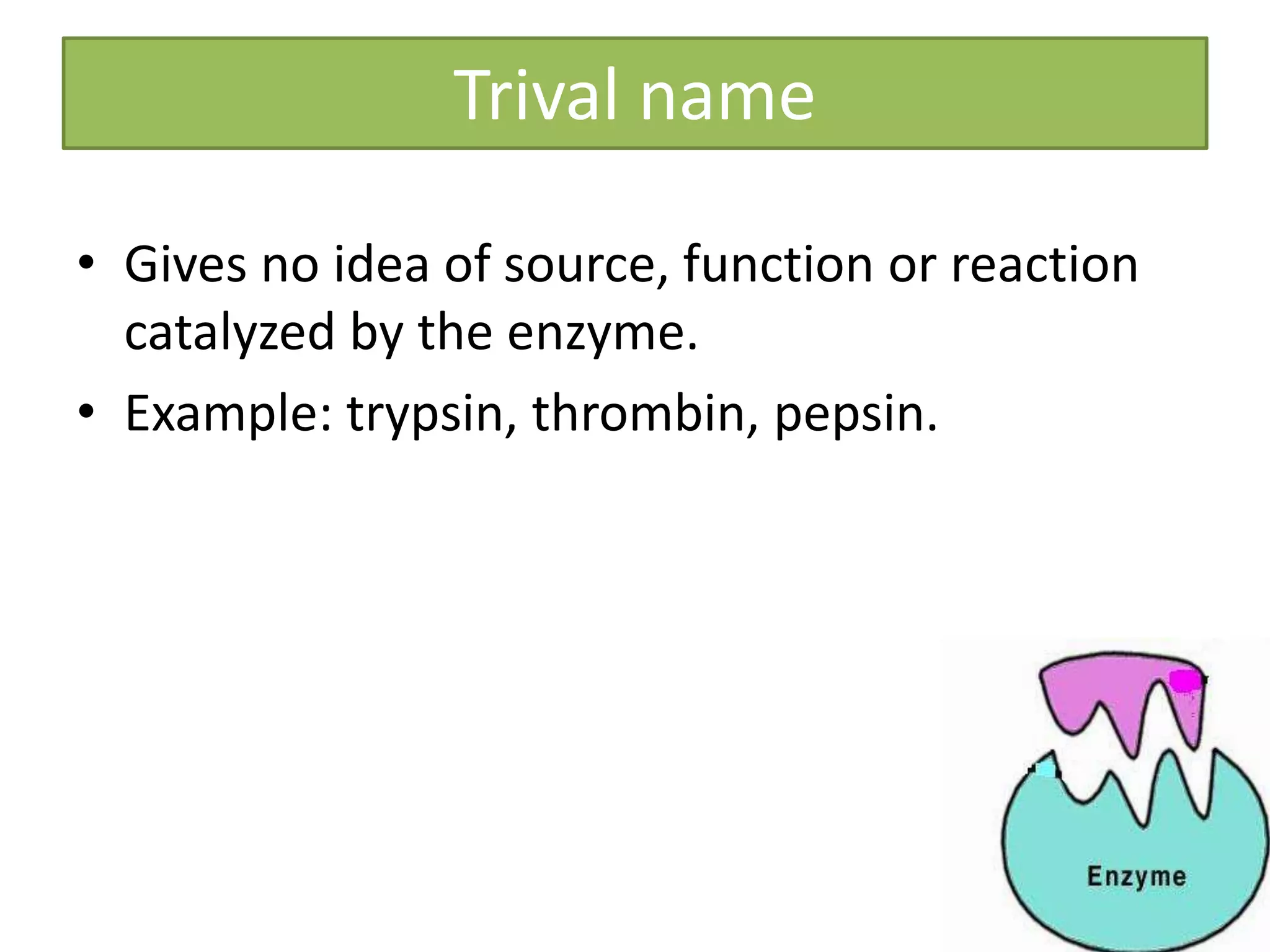 Enzymes and enzyme inhibition | PPTX