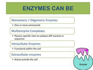 Enzymes and enzyme inhibition | PPTX