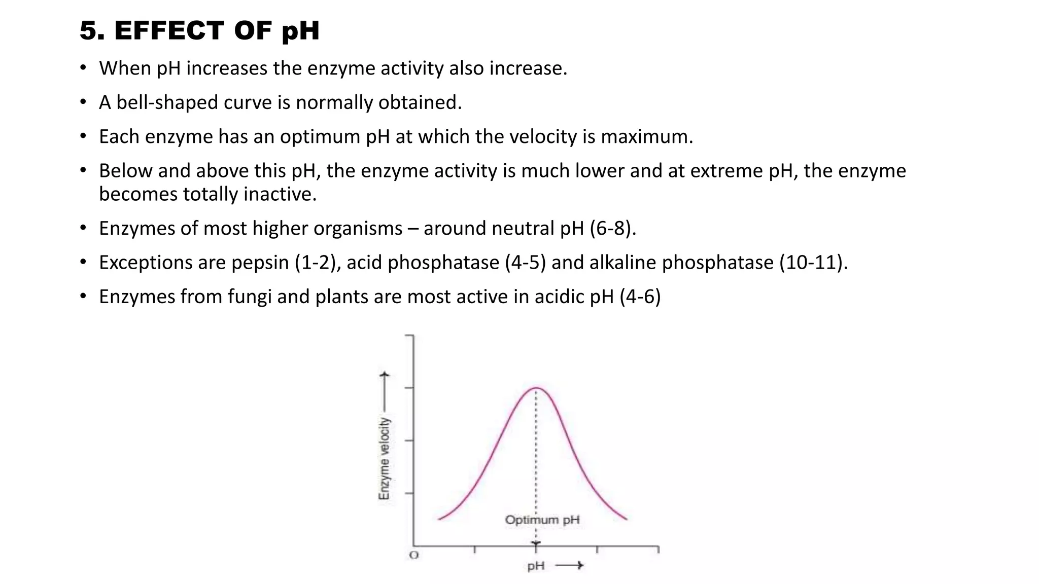 ENZYMES AND FACTORS AFFECTING ENZYMES.pptx