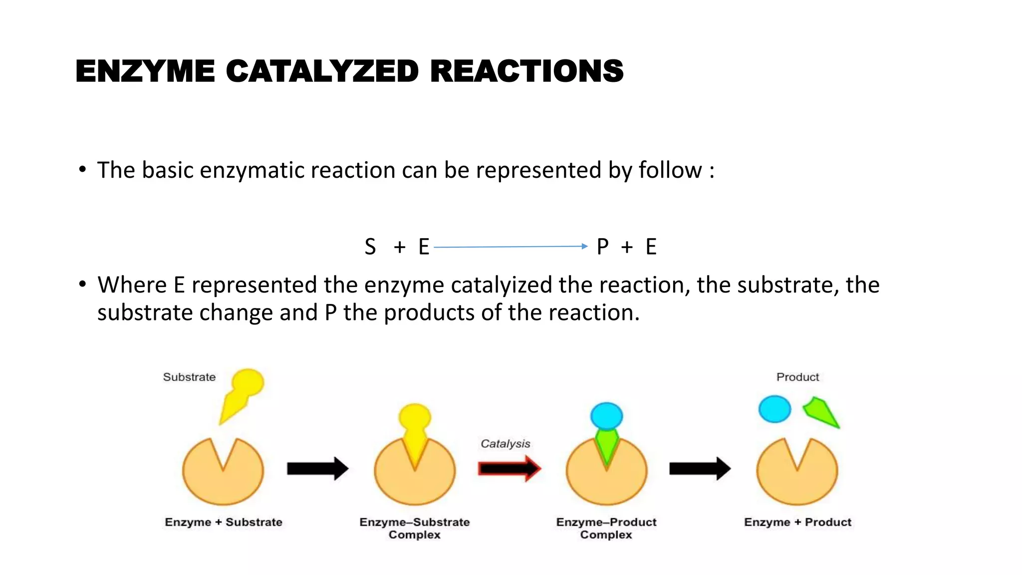 ENZYMES AND FACTORS AFFECTING ENZYMES.pptx