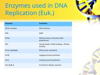 enzymes and inhibitors used in the replication and transcription.pptx