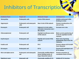 enzymes and inhibitors used in the replication and transcription.pptx