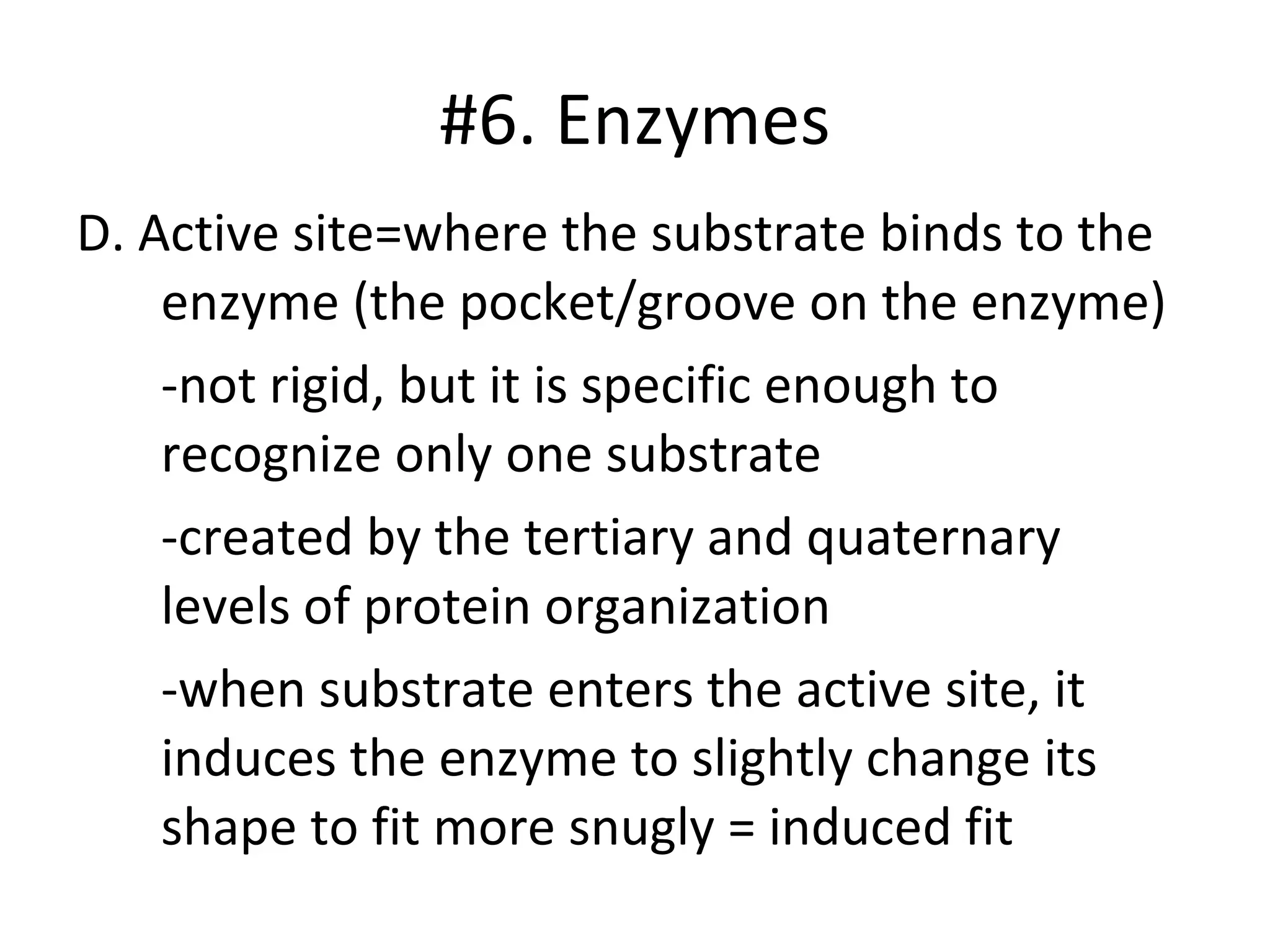 Enzymes and Proteins PowerPoint | PPT