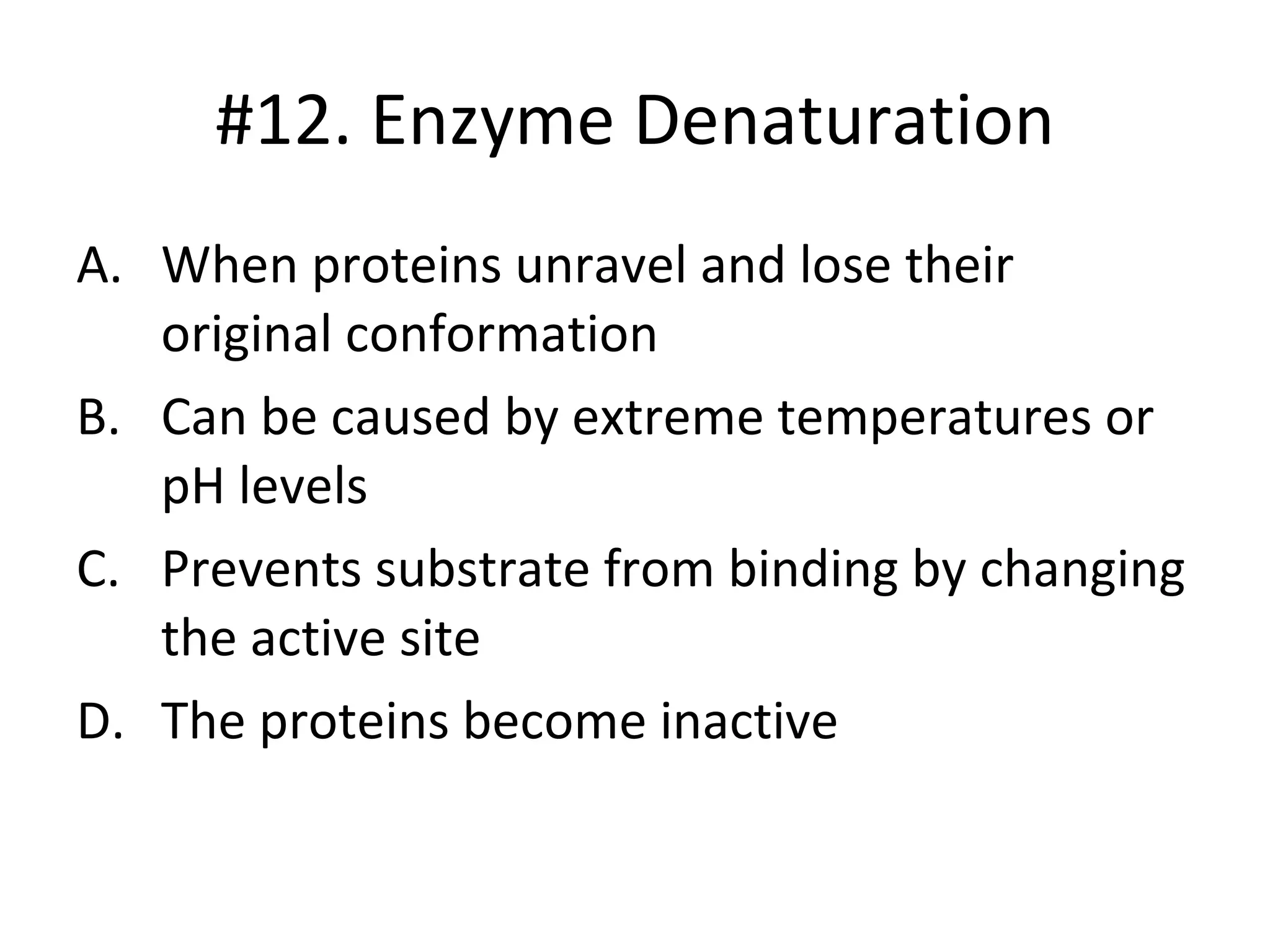 Enzymes and Proteins PowerPoint | PPT