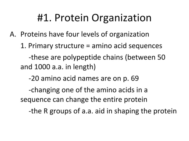 Enzymes and Proteins PowerPoint | PPT