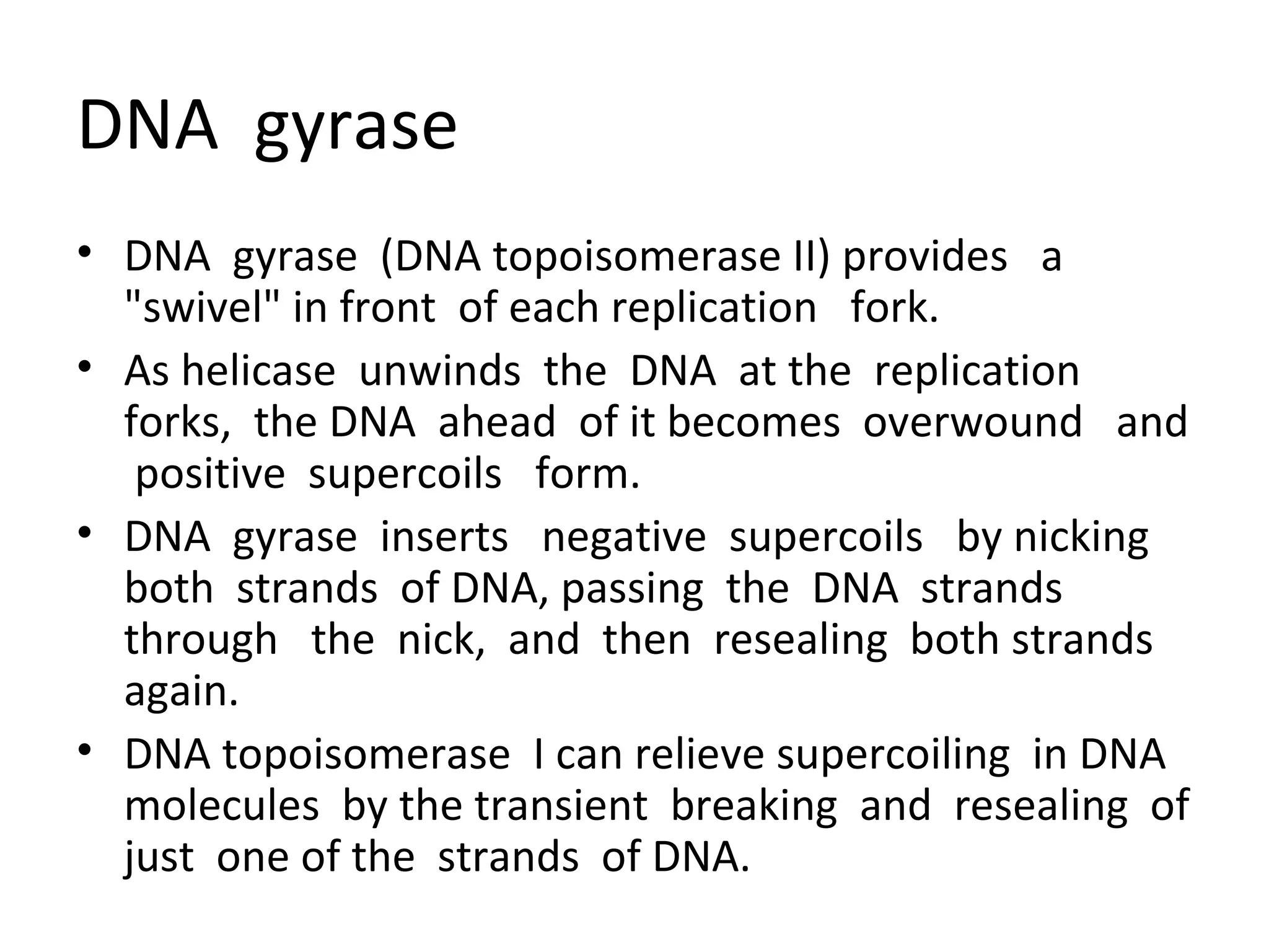 Enzymes and proteins in dna replication | PPT