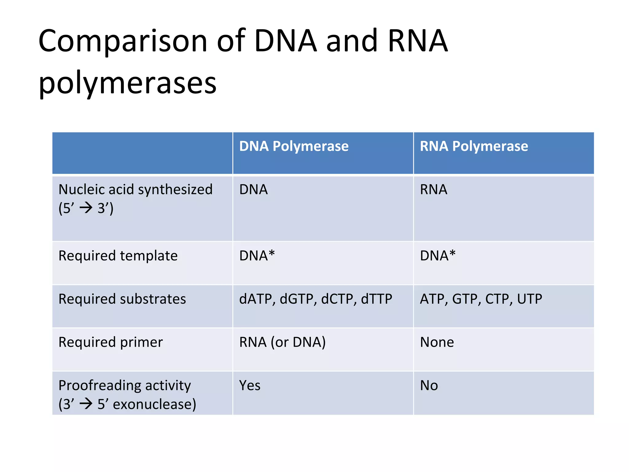 Enzymes and proteins in dna replication | PPT