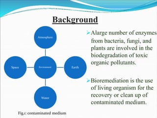 Enzymesandtheirrolesinthebioremediationbeta 160830082429 | PPTX