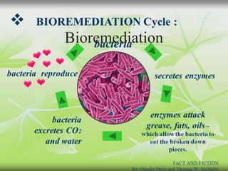 Enzymesandtheirrolesinthebioremediationbeta 160830082429 | PPTX