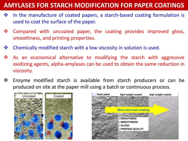 Enzymes are on duty@pulp and paper industry | PPT