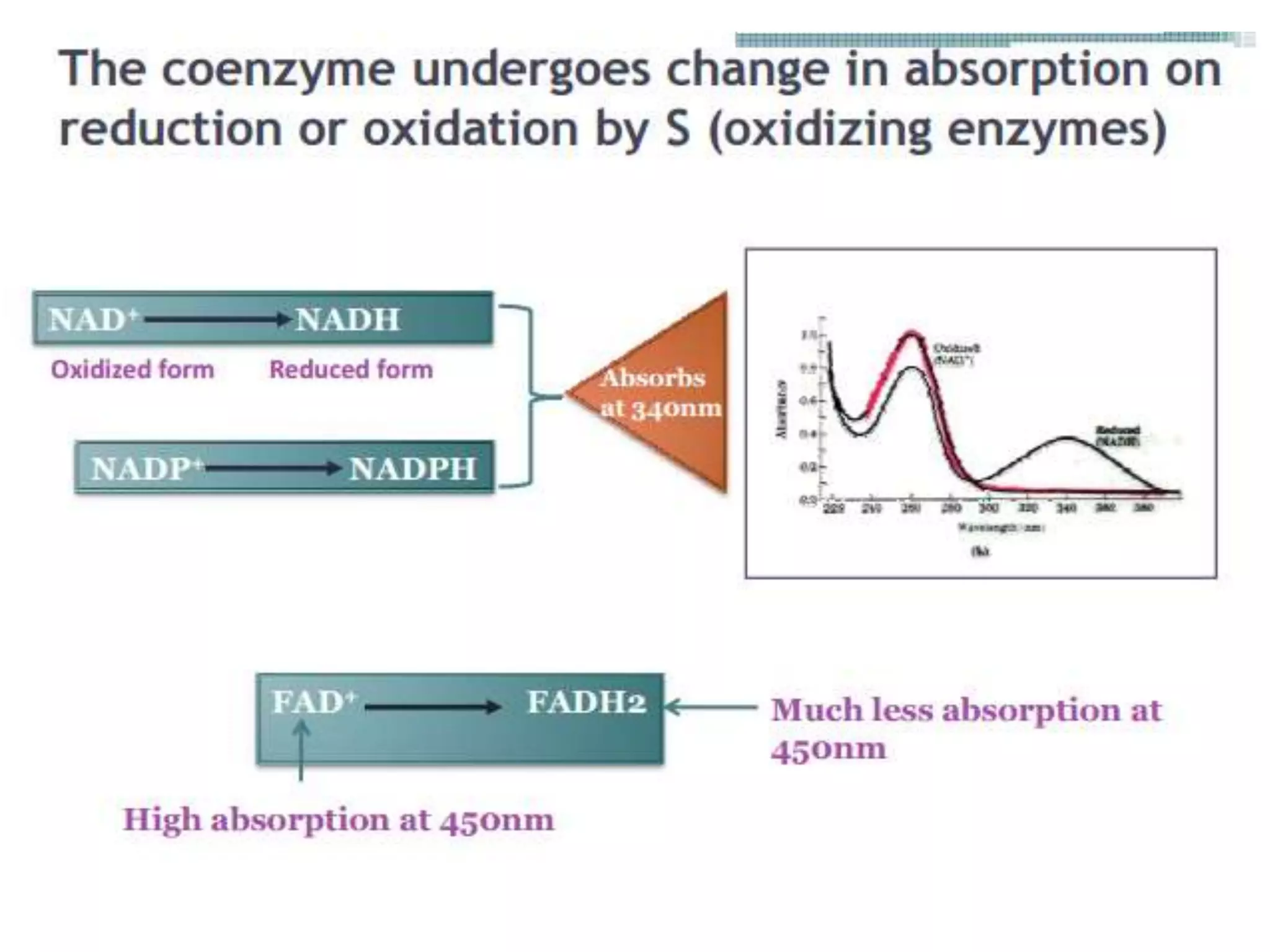 Enzymes assay ppt Best | PPTX