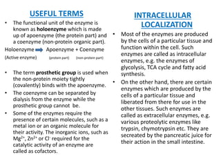 Enzymes b.pharm | PPT