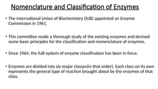 INTRODUCTORY ENZYMOLOGY FOR BIOCHEMISTRY BASICS | PPT