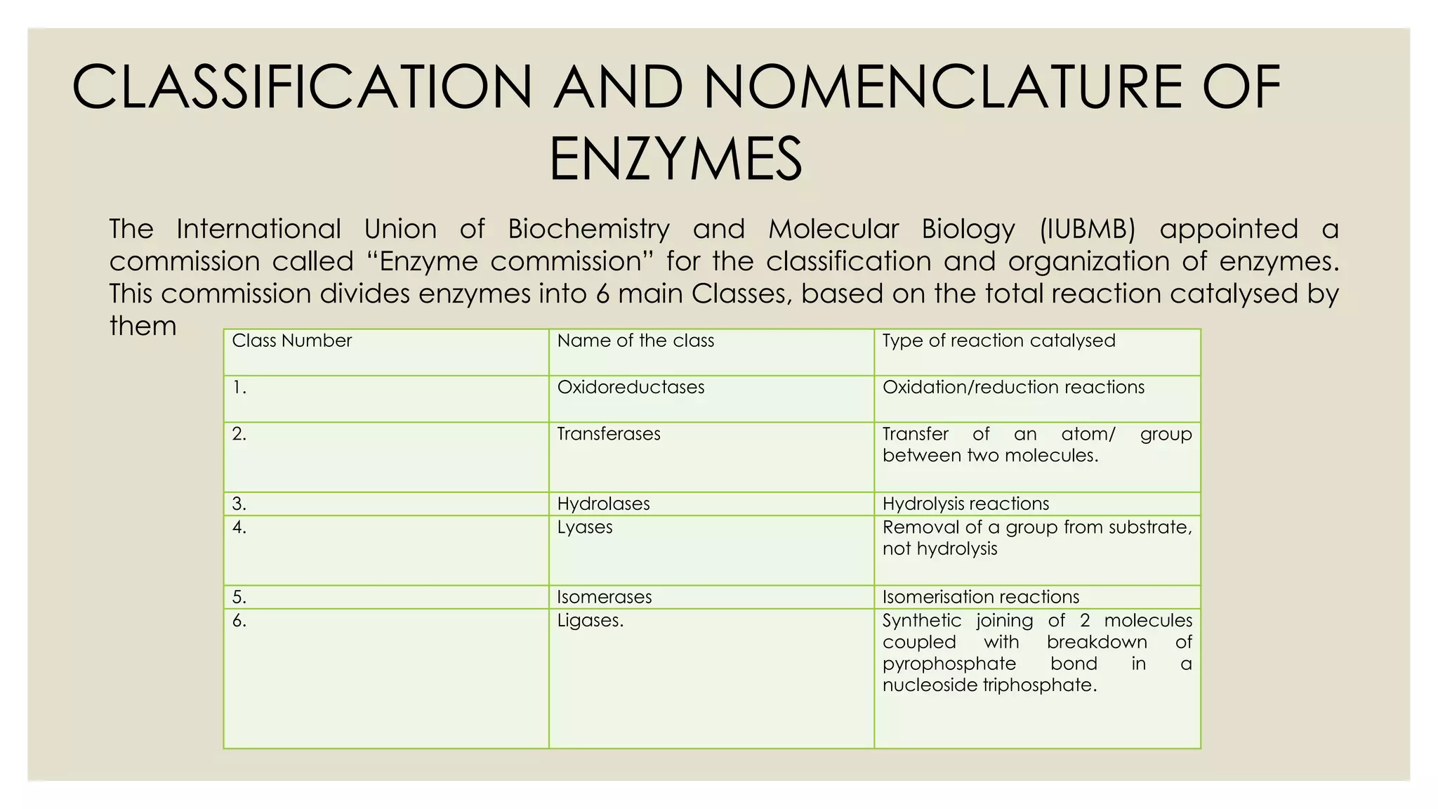 Enzymes&biocatalysis | PDF