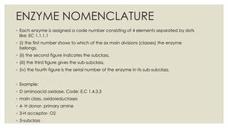 Enzymes&biocatalysis | PDF