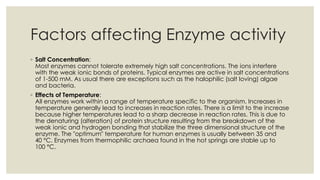 Enzymes&biocatalysis | PDF