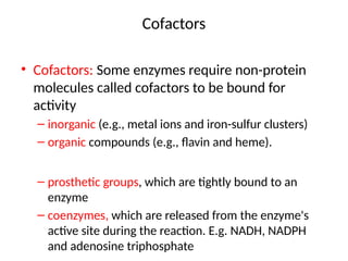 Enzymes, Biochemistry,types of enzymes and functional enzymes | PPTX