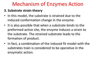 Enzymes bph | PPTX
