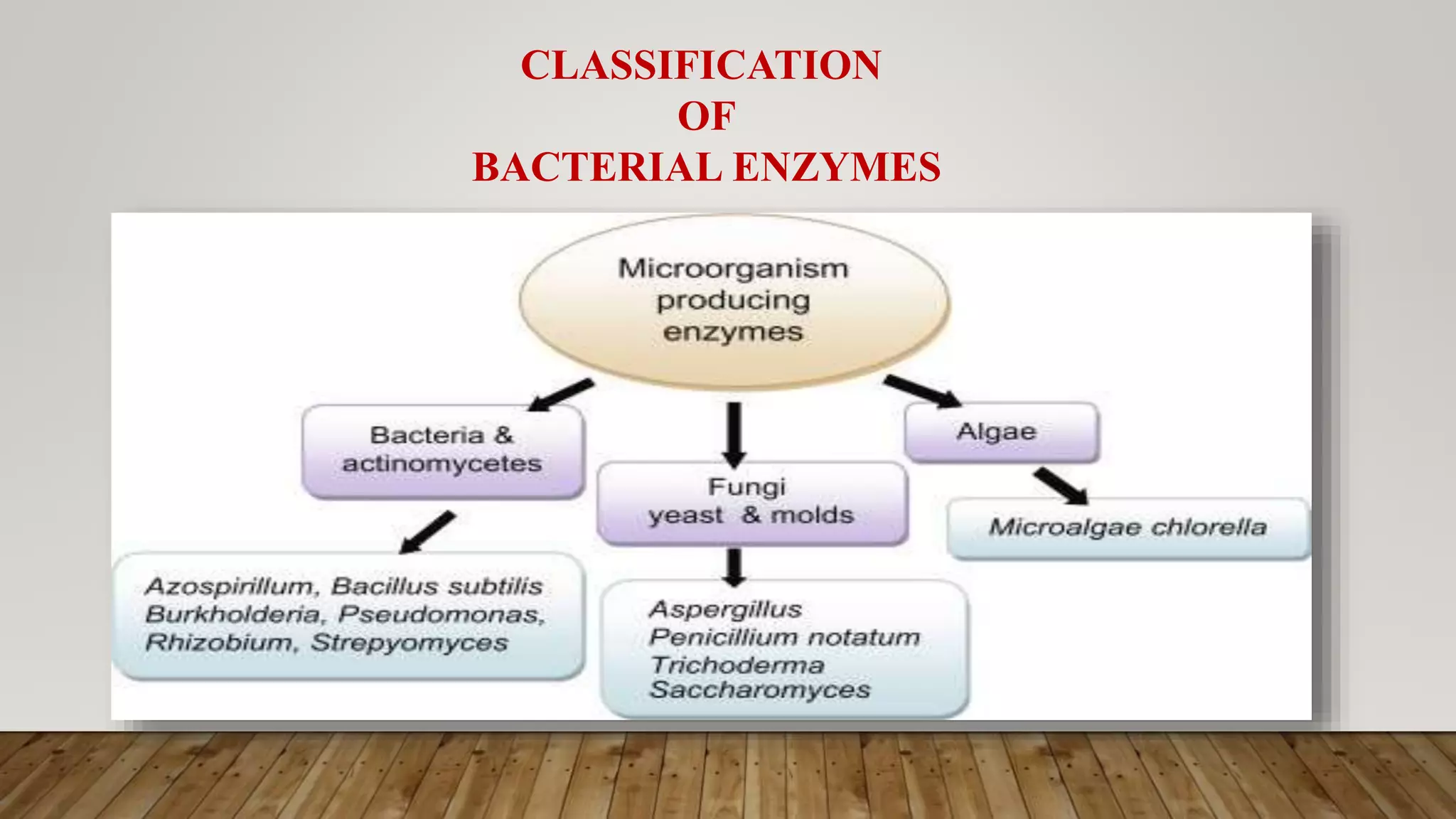 Bacterial enzymes, industrial enzymes and production of enzymes by ...