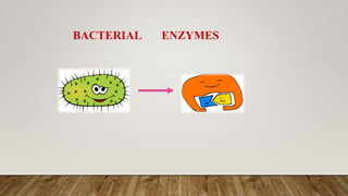 Bacterial enzymes, industrial enzymes and production of enzymes by ...