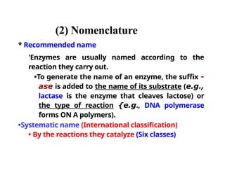 Enzymes by Ankush Singh M.Sc. II Year.pptx