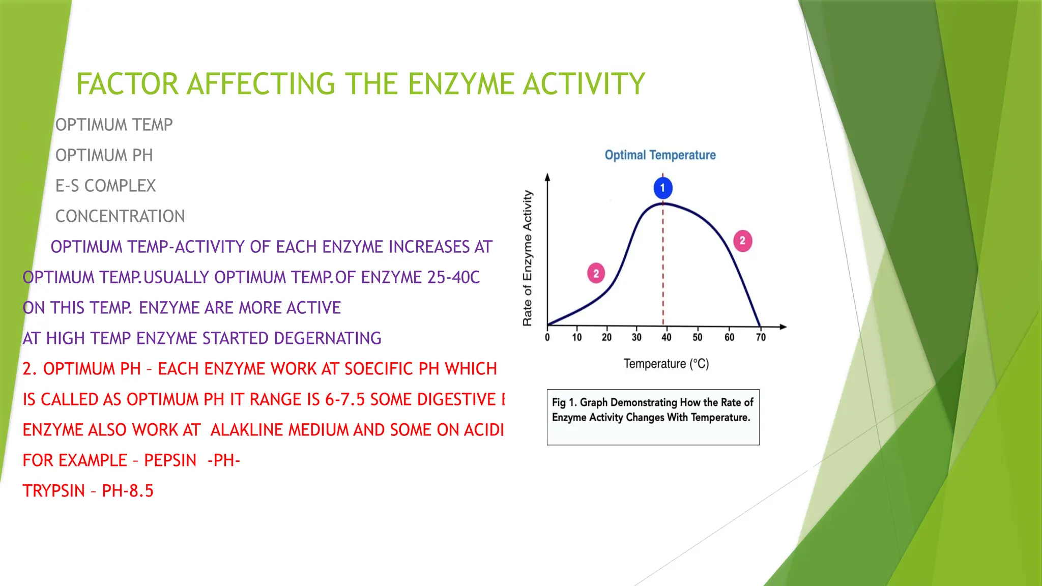ENZYMES and their importance in body systems.pptx