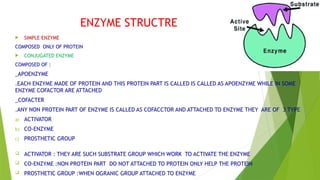 ENZYMES and their importance in body systems.pptx