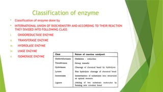 ENZYMES and their importance in body systems.pptx