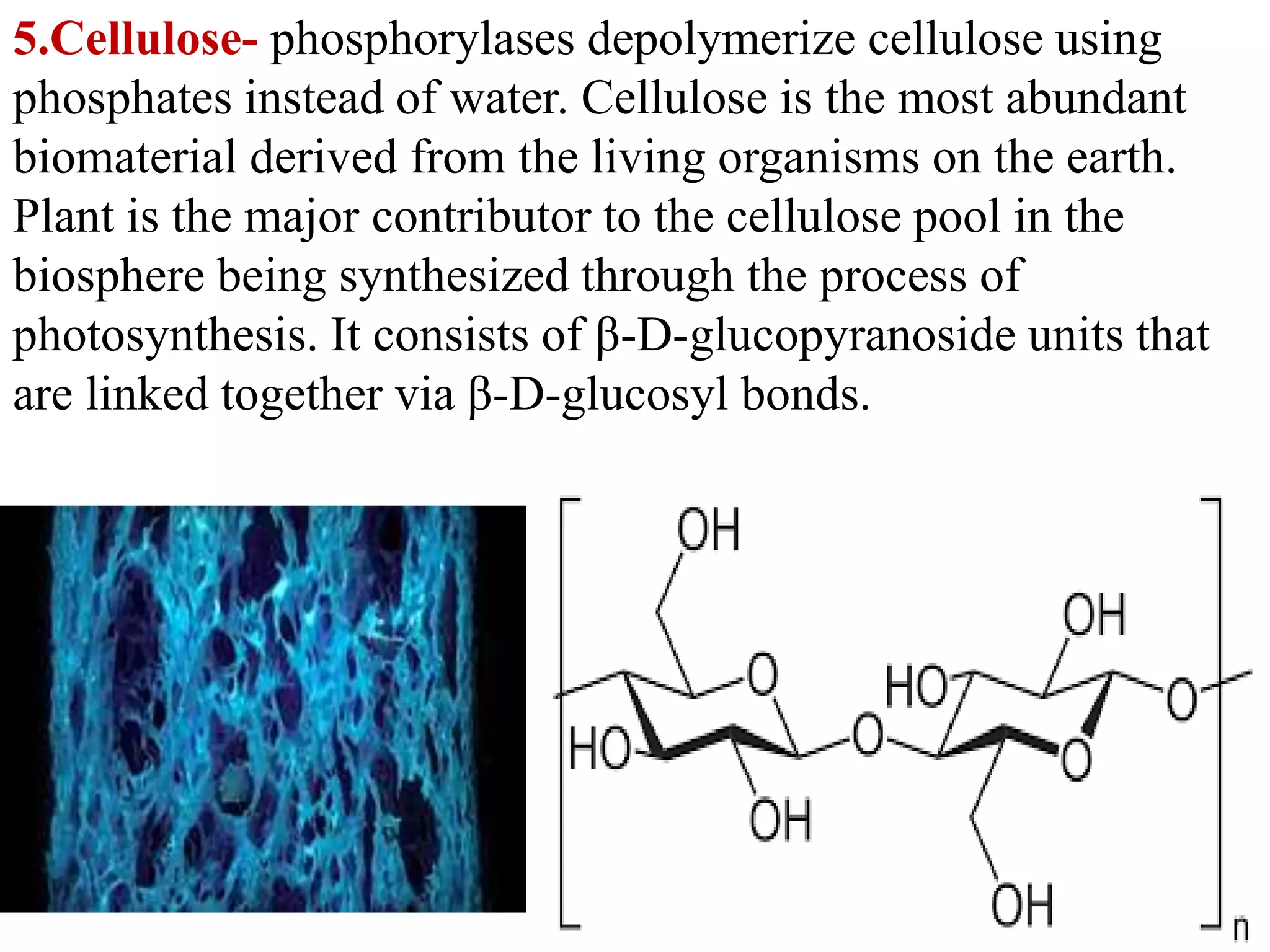 Enzymes cellulases | PPTX