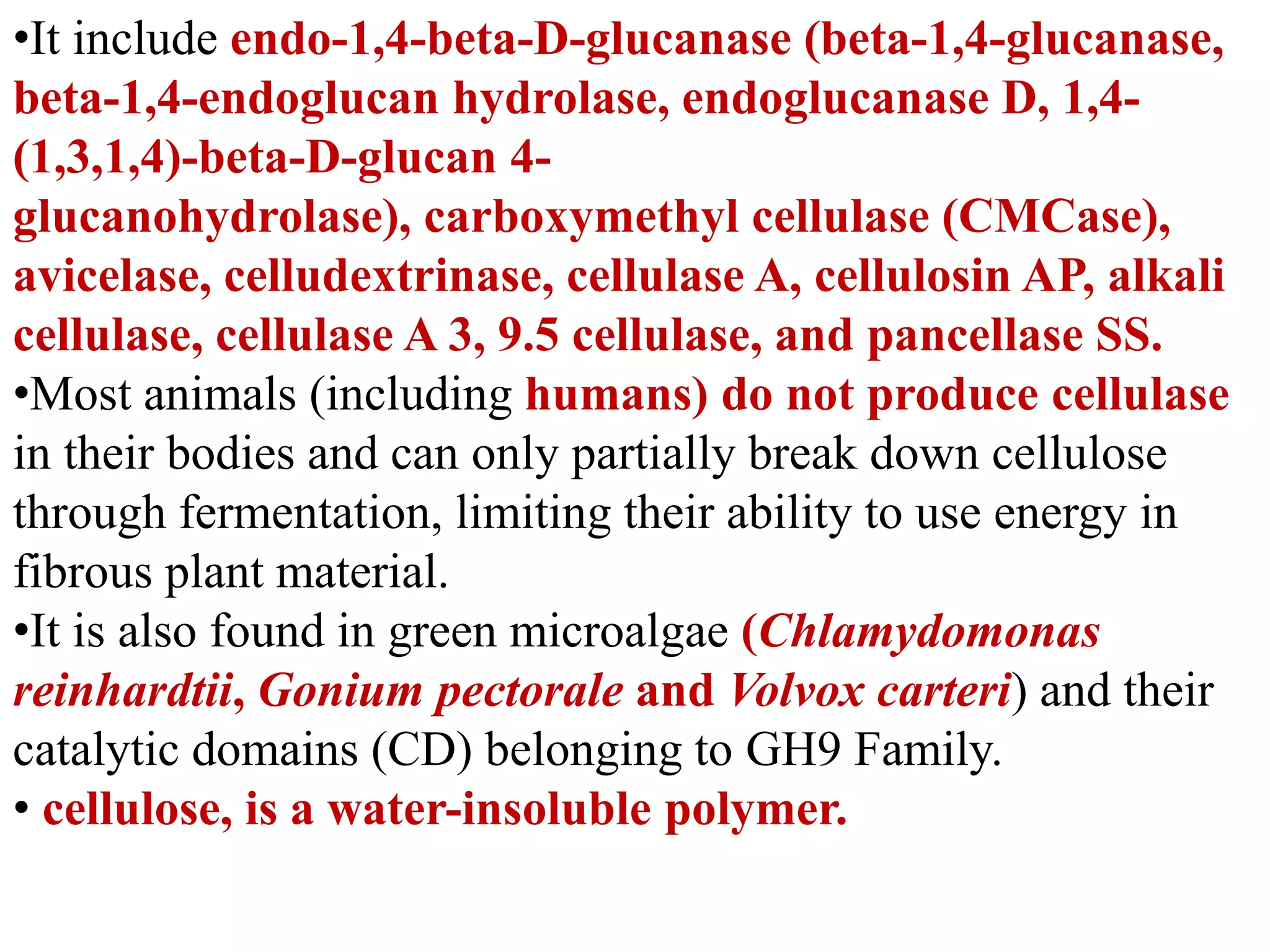 Enzymes cellulases | PPTX