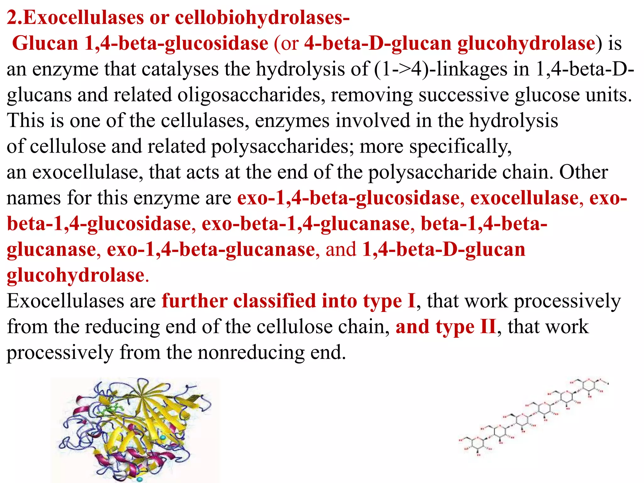 Enzymes cellulases | PPTX