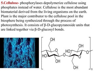 Enzymes cellulases | PPTX