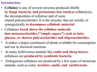 Enzymes cellulases | PPTX
