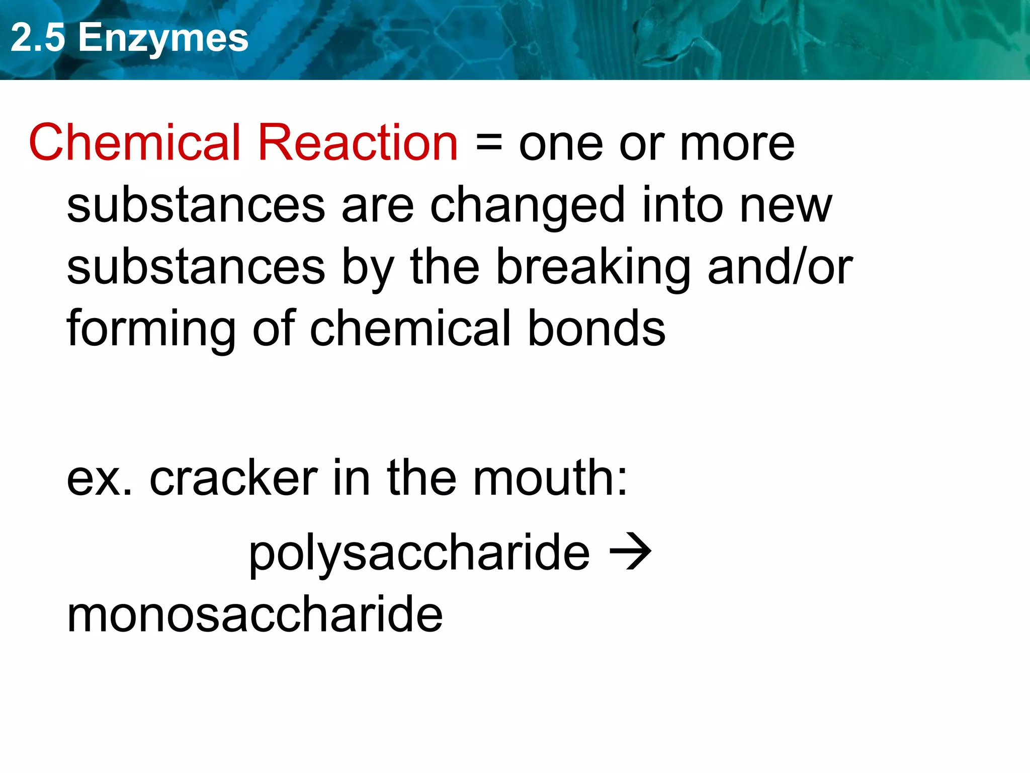 Enzymes & Chemical Rxn Notes | PPT