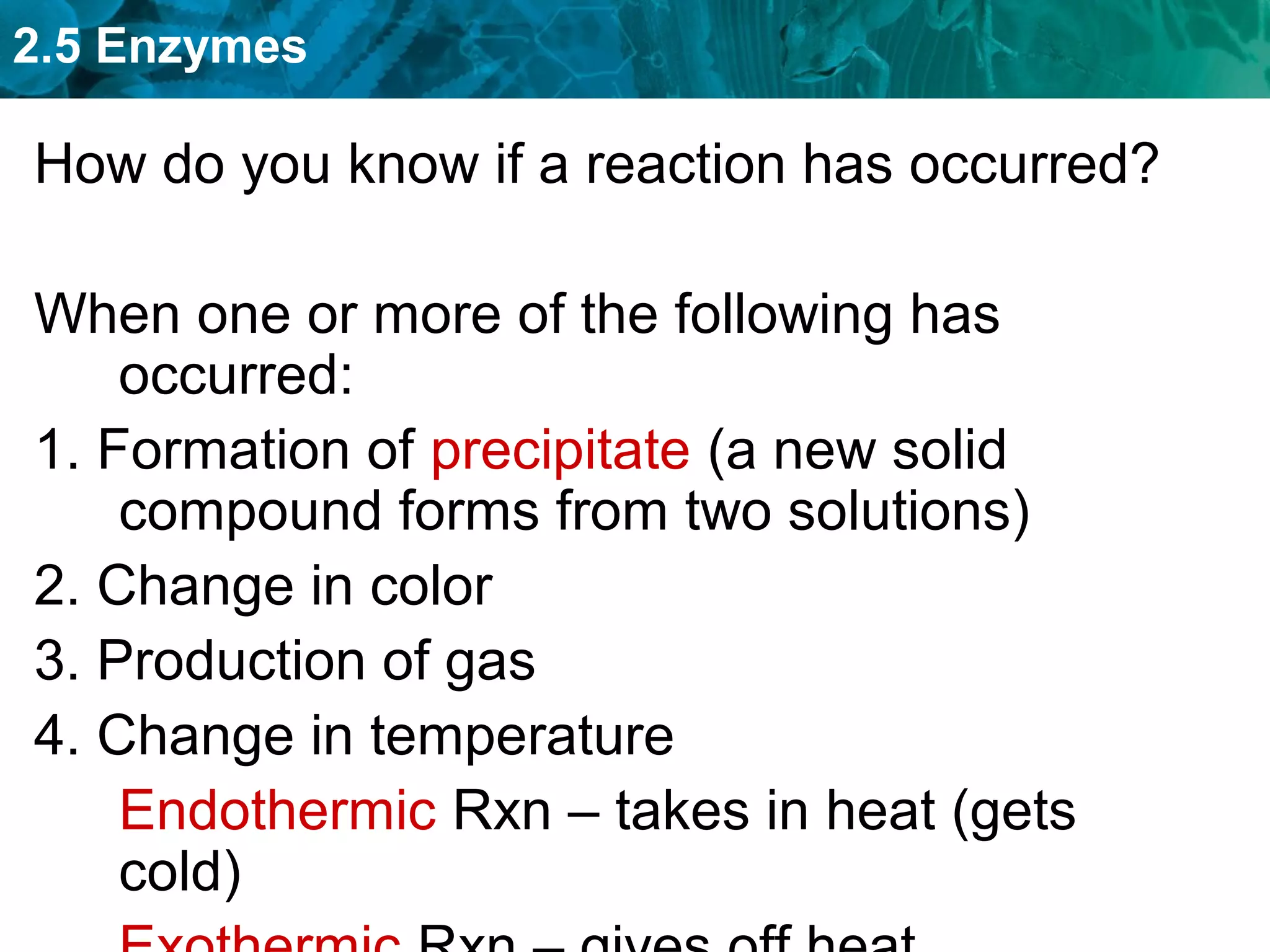 Enzymes & Chemical Rxn Notes | PPT