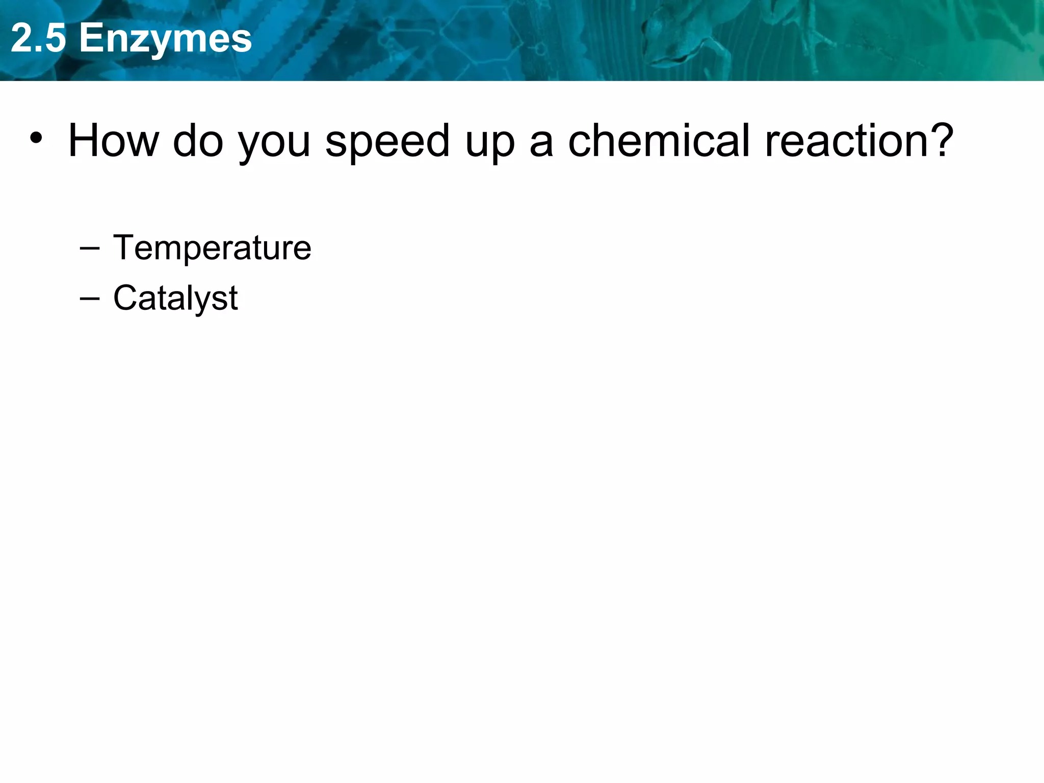 Enzymes & Chemical Rxn Notes | PPT